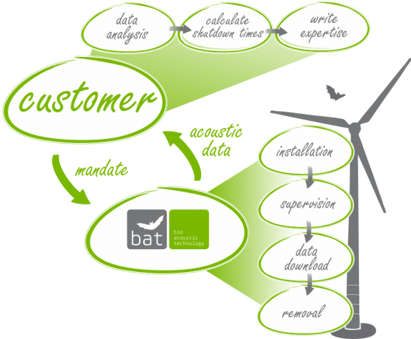 Execution of Acoustical Bat Monitorings | bat bioacoustictechnology